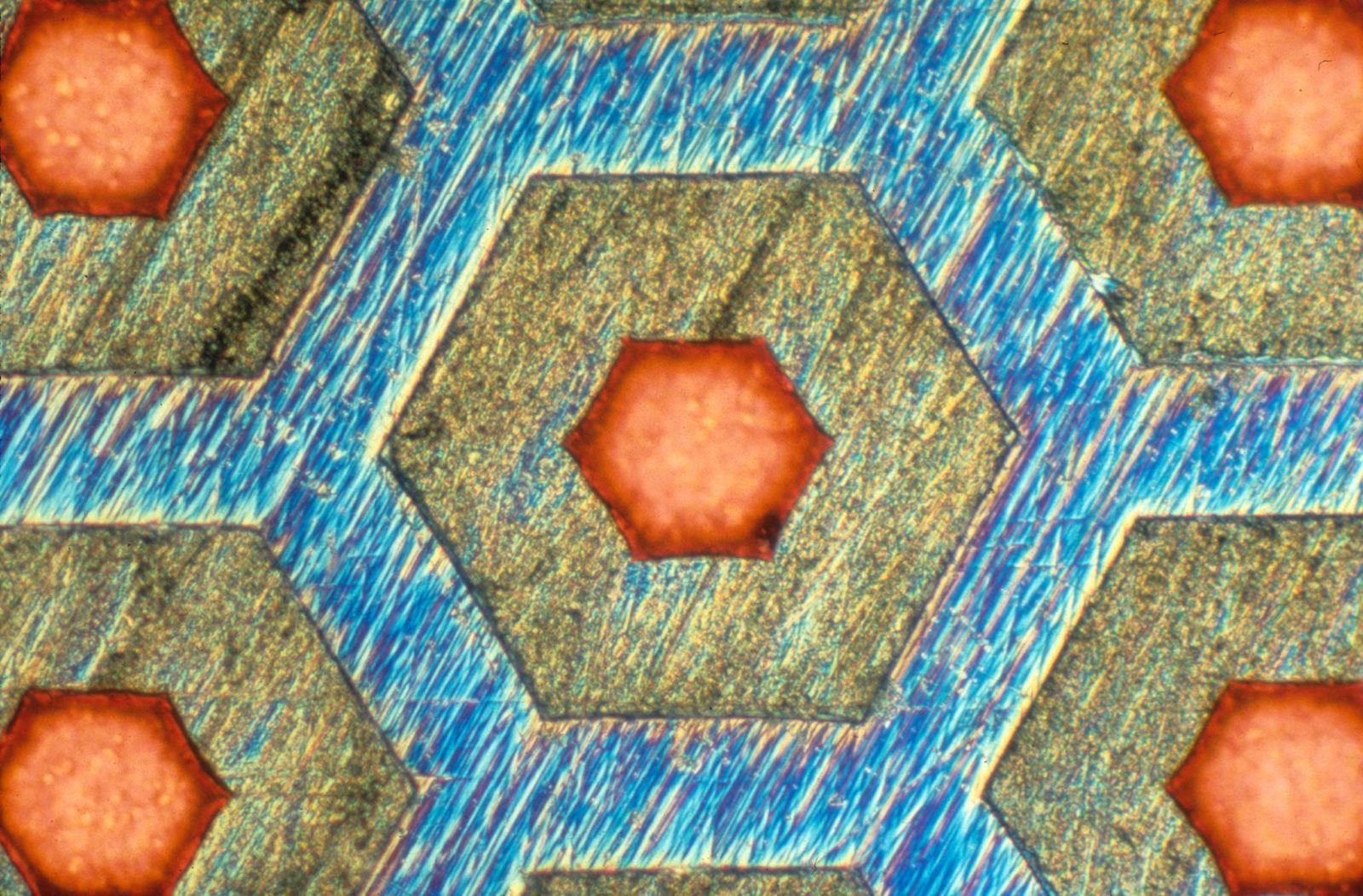 Detail of textile rotary printing screen | Nikon Small World