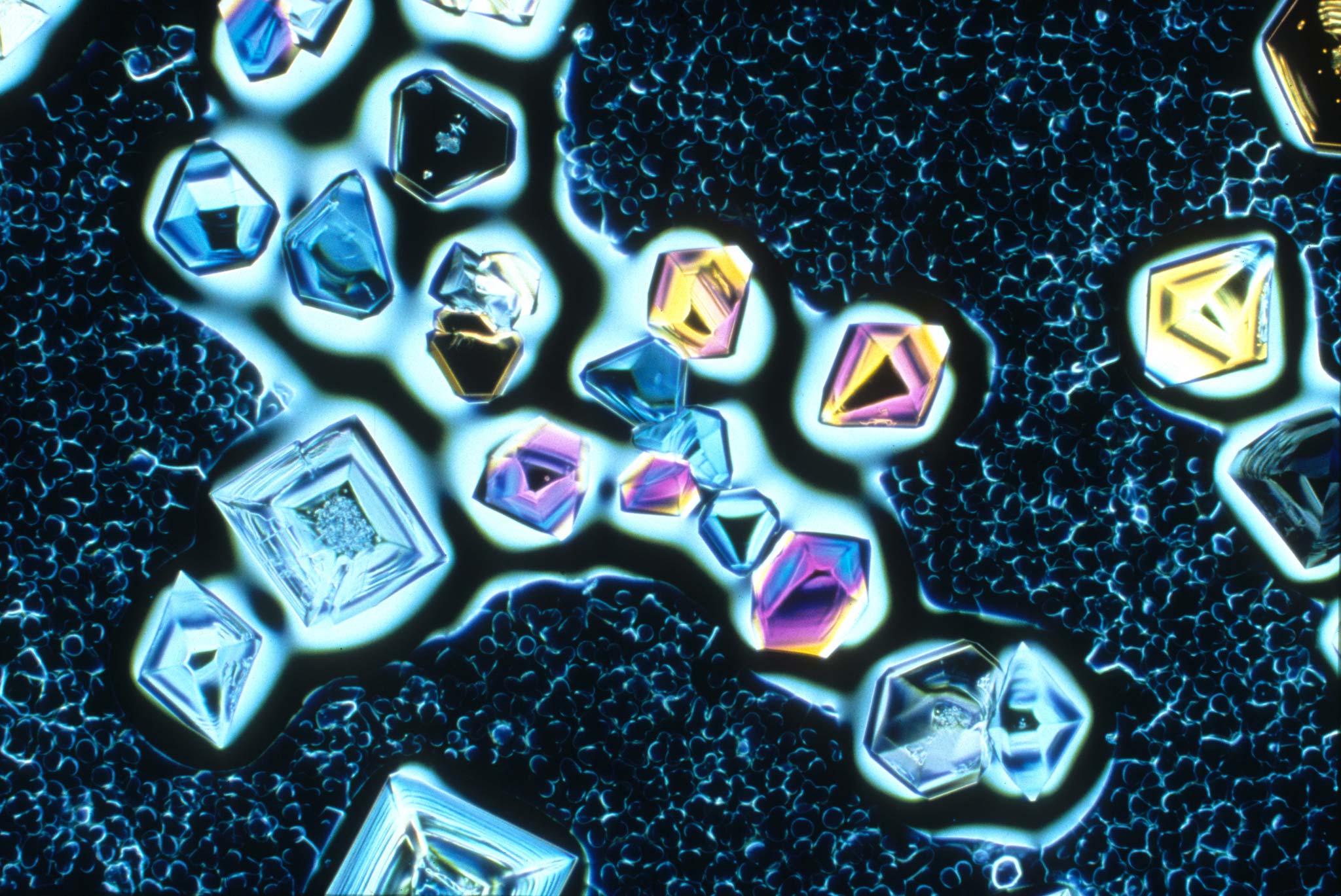 Sodium polytungstate crystals | Nikon Small World