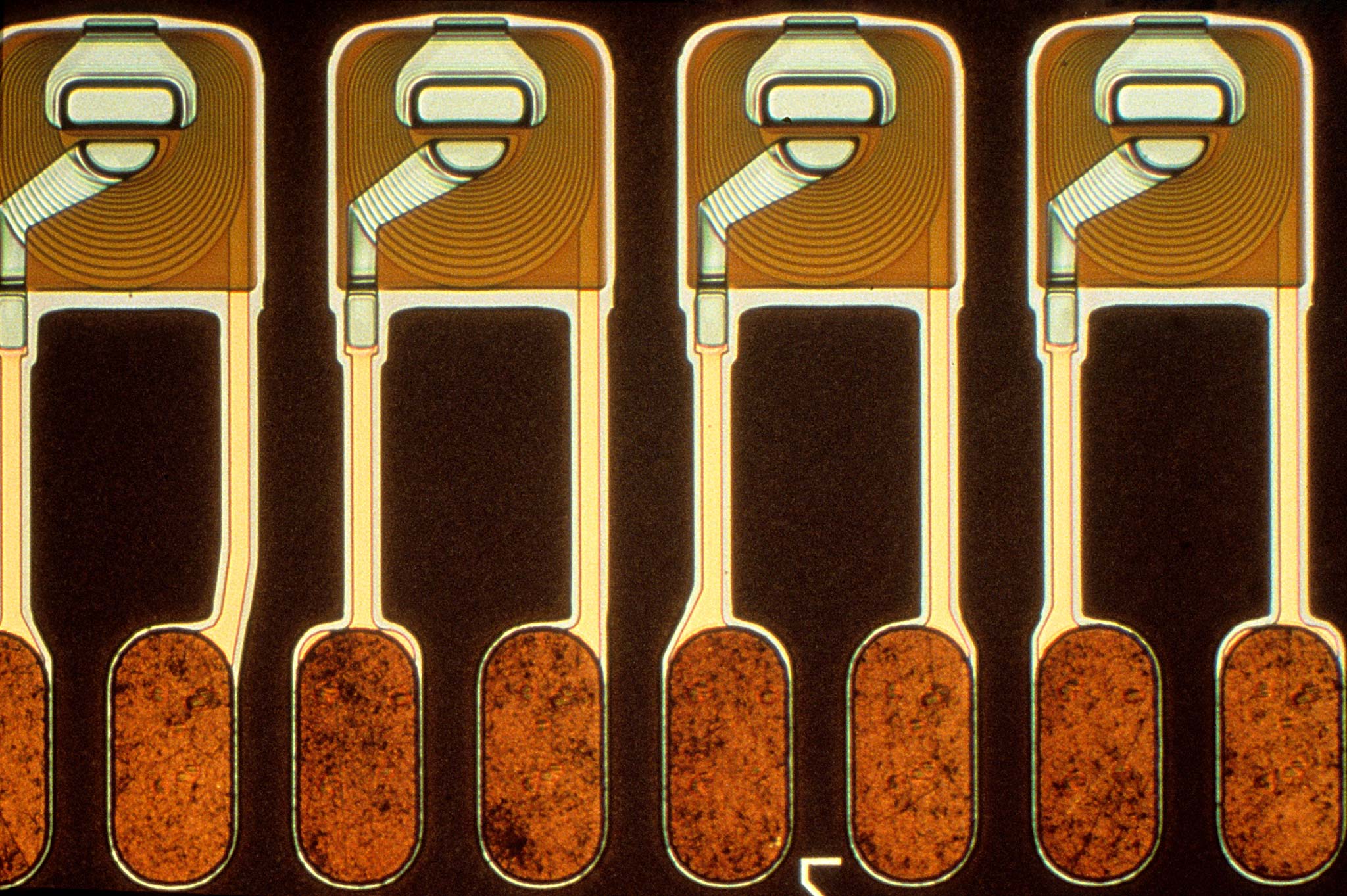 Thin film magnetic recording head at wafer level | Nikon Small World