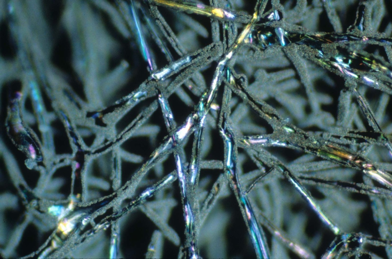 Metallized plastic fibers | Nikon Small World