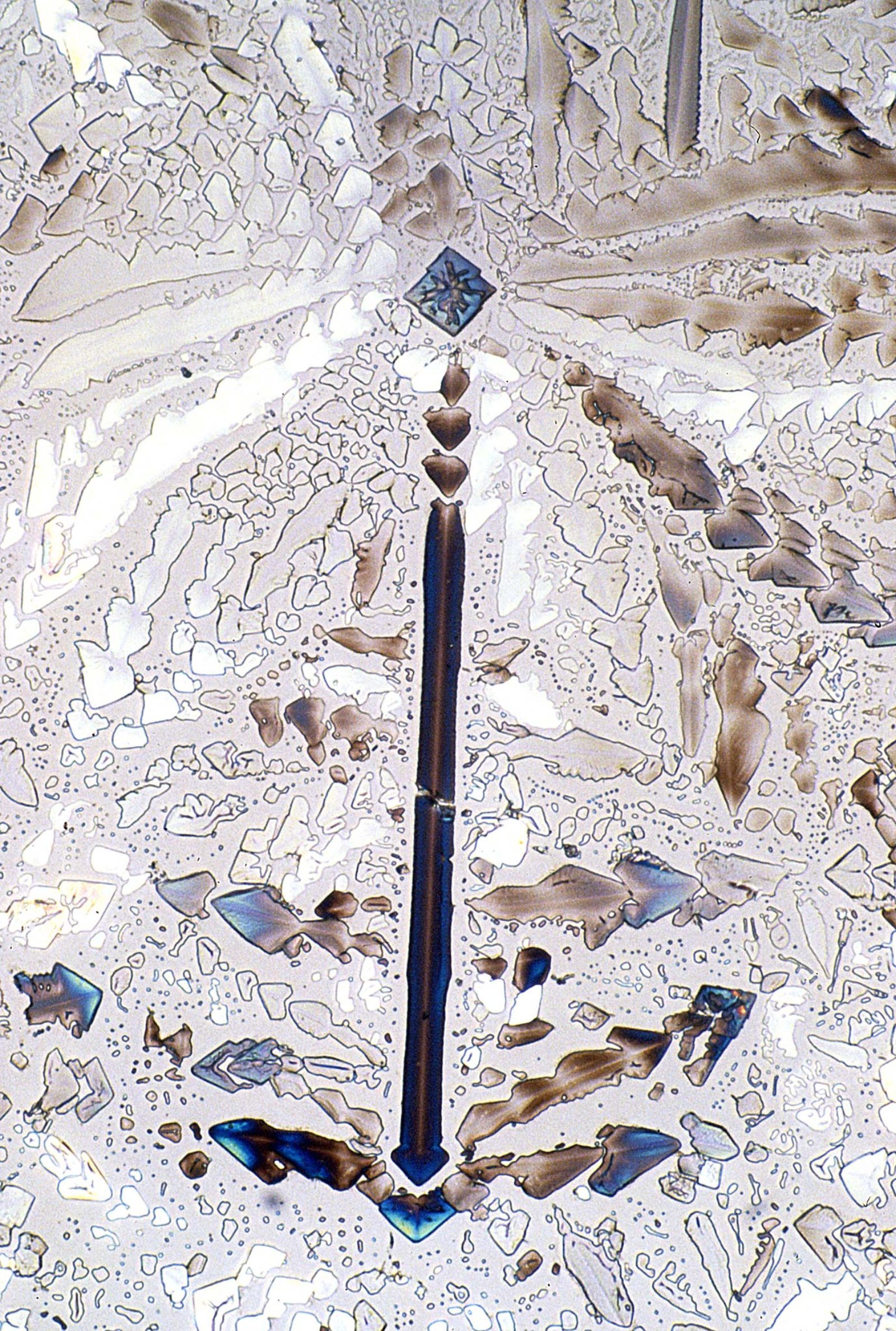 Sodium nitrate crystals from fecal analysis solution for parasitology ...