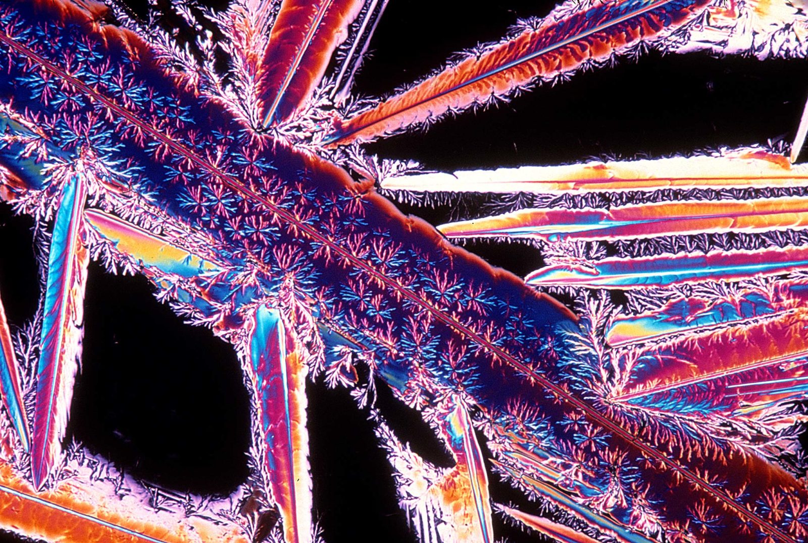 Sodium carbonate and sucrose crystal formation | Nikon Small World