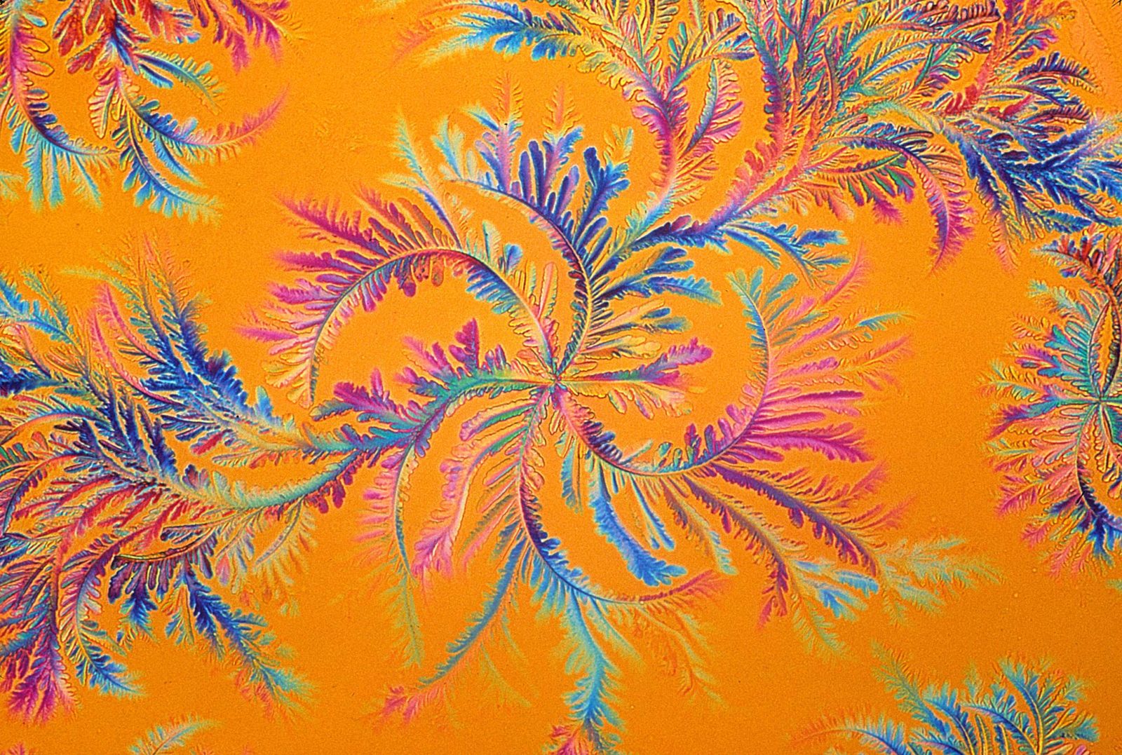 Sodium carbonate and sodium metaborate crystal formation | Nikon Small ...