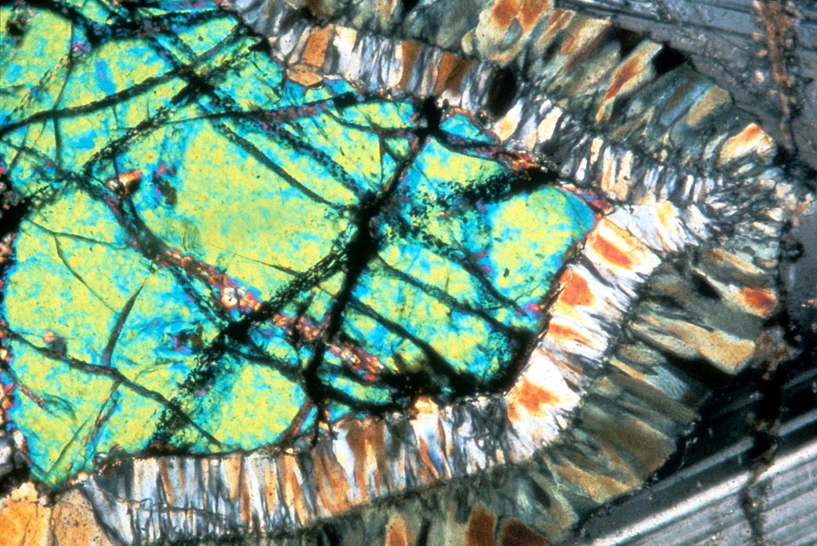 Thin section of olivine norite showing double coronas around olivine crystals | Nikon Small World