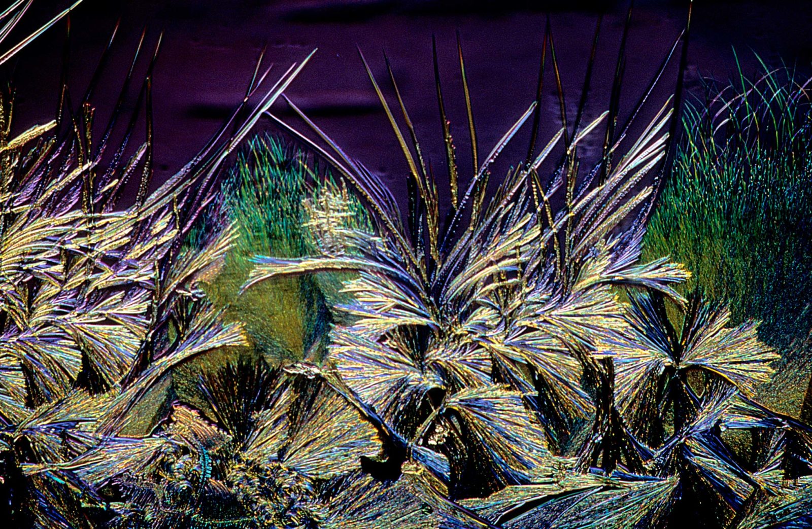 DL-acetylleucine monoethanolamine melted with p-nitrophenol | Nikon ...