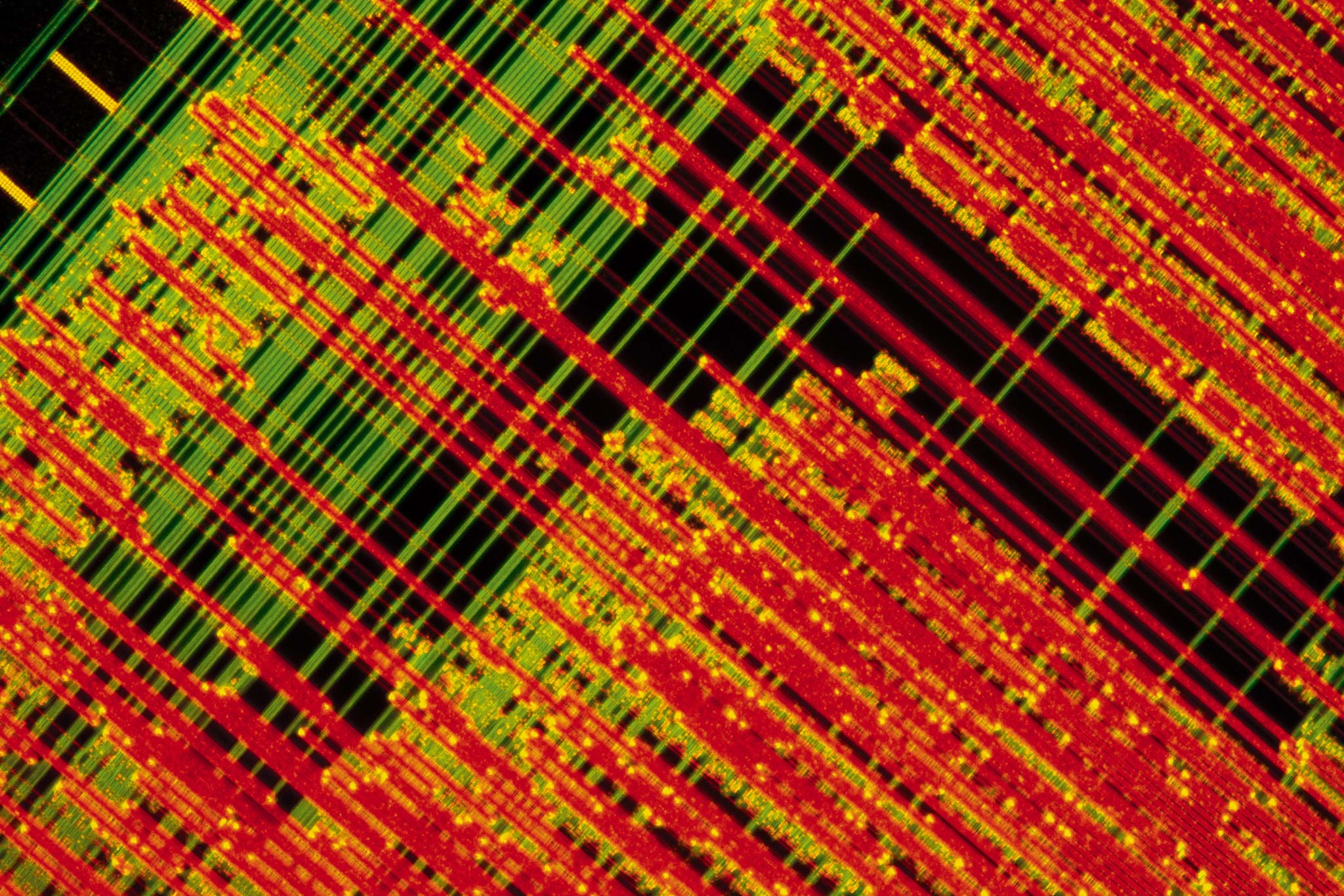 Microchip | Nikon Small World