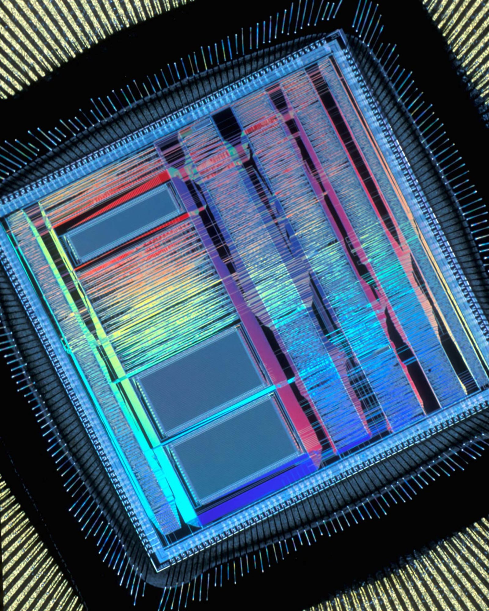 Microchip (switch controller) | Nikon Small World