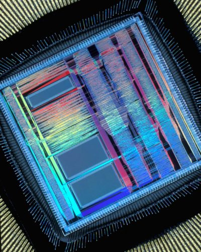 Microchip (switch controller) | Nikon Small World