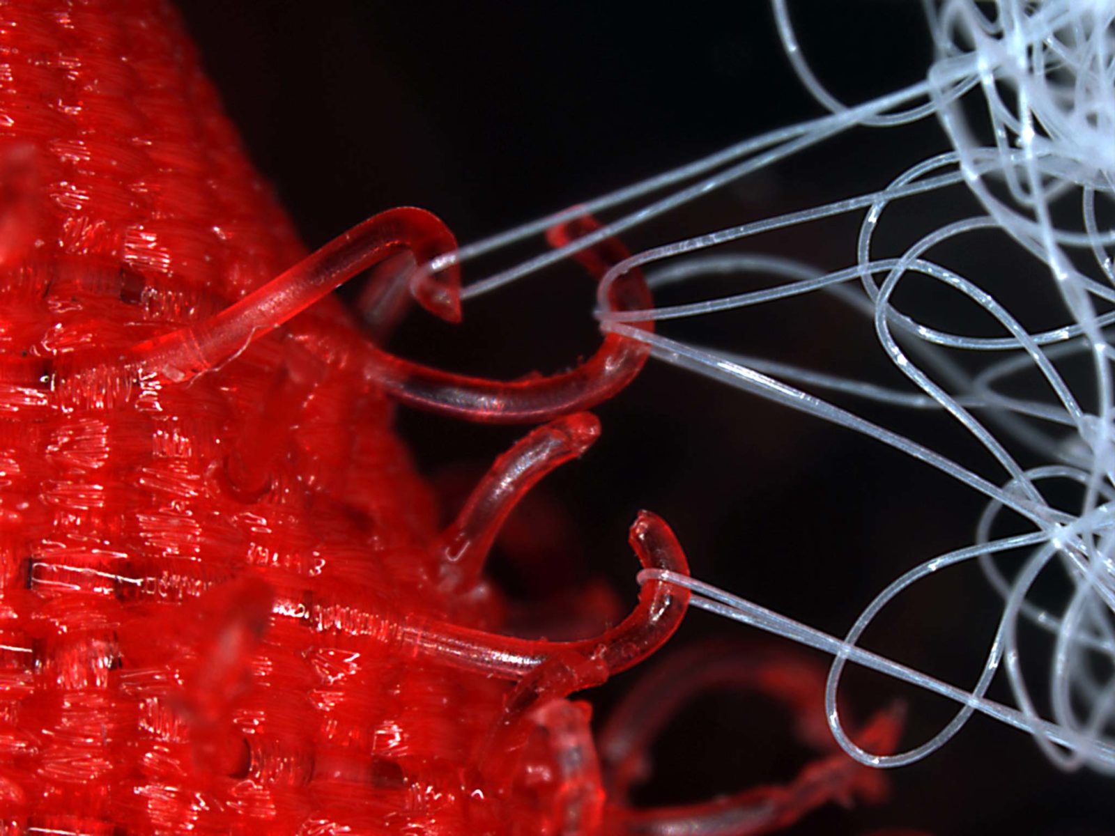 Velcro being pulled apart | Nikon Small World