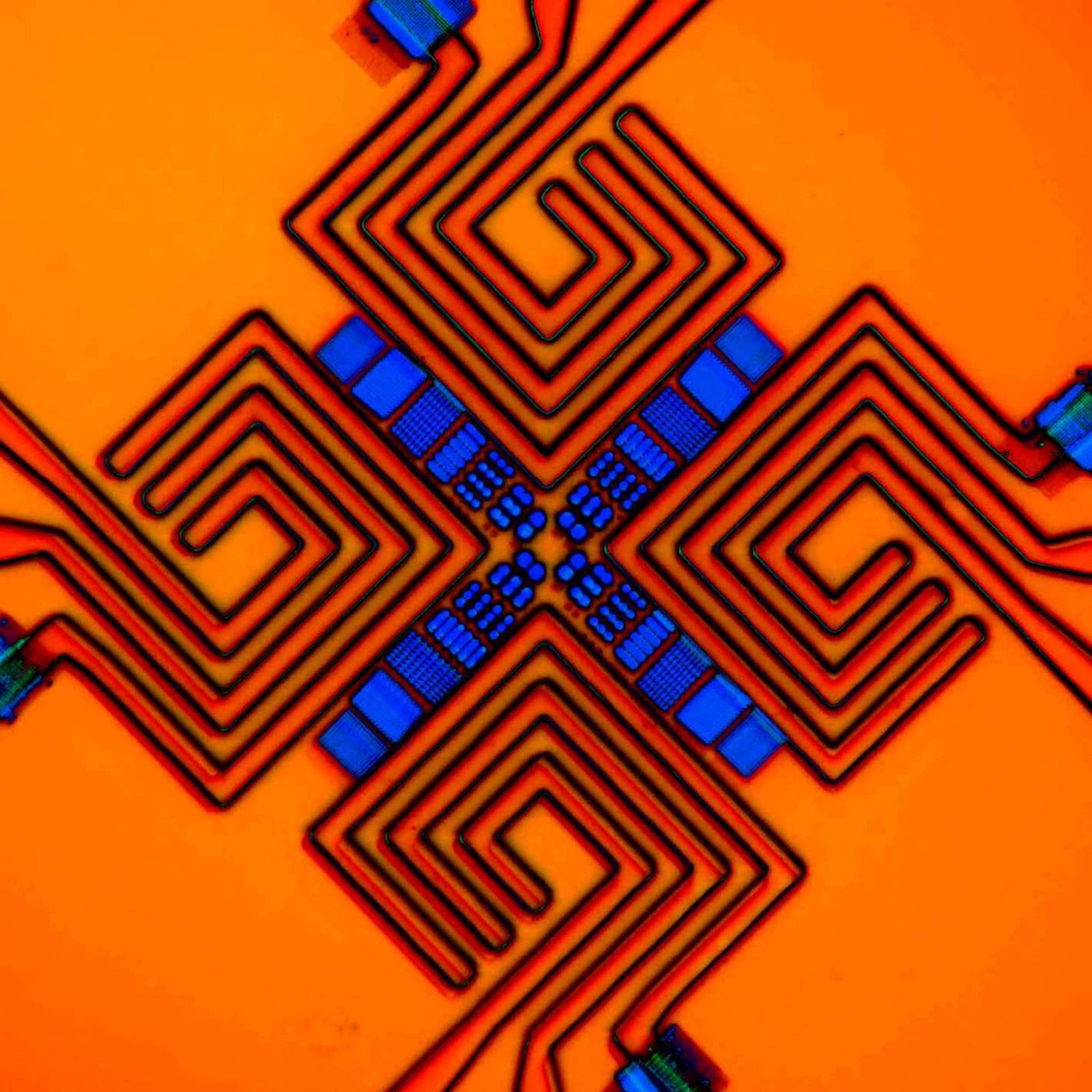 Contact pad array | Nikon Small World