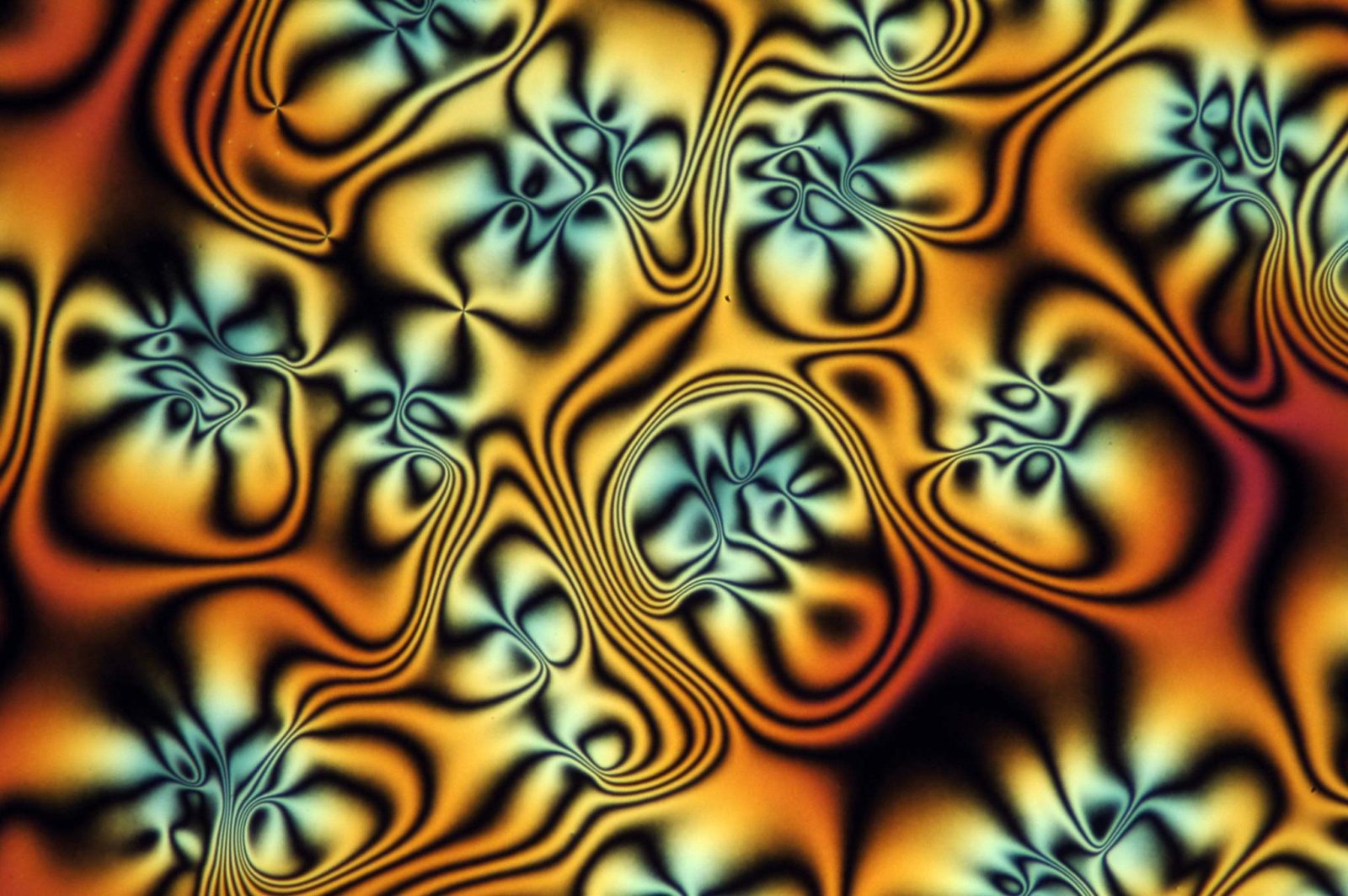 Nematic liquid crystal film on glycerin surface | Nikon Small World