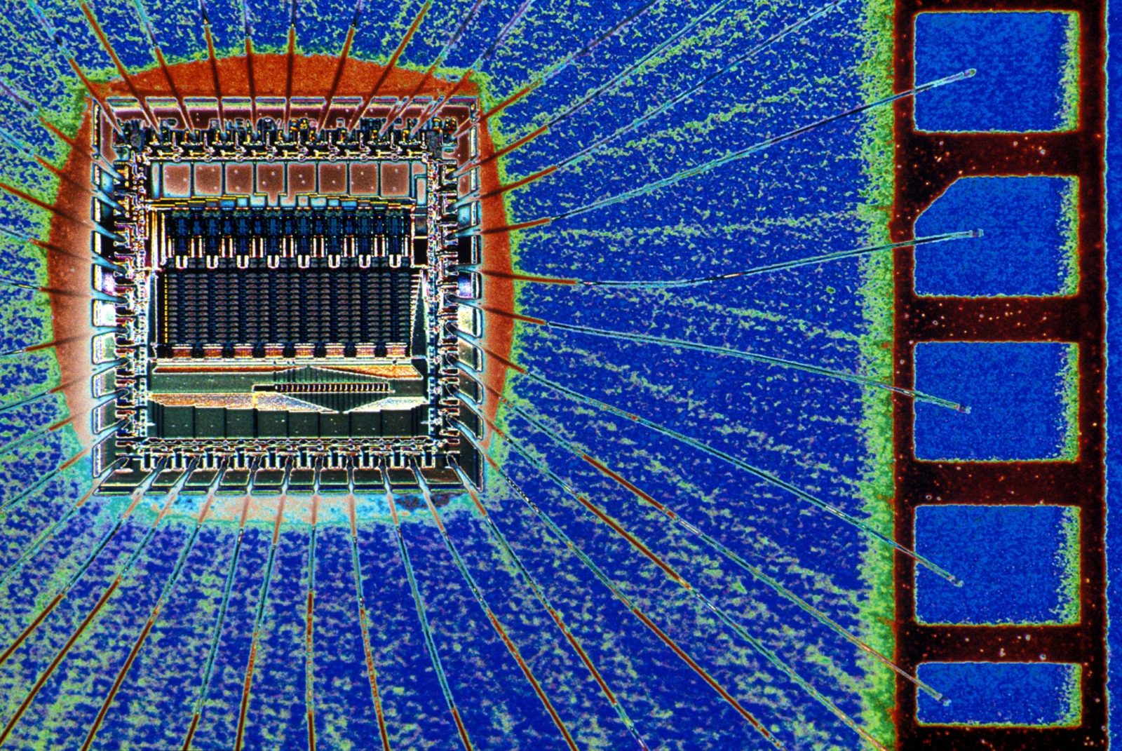 Computer chip | Nikon Small World