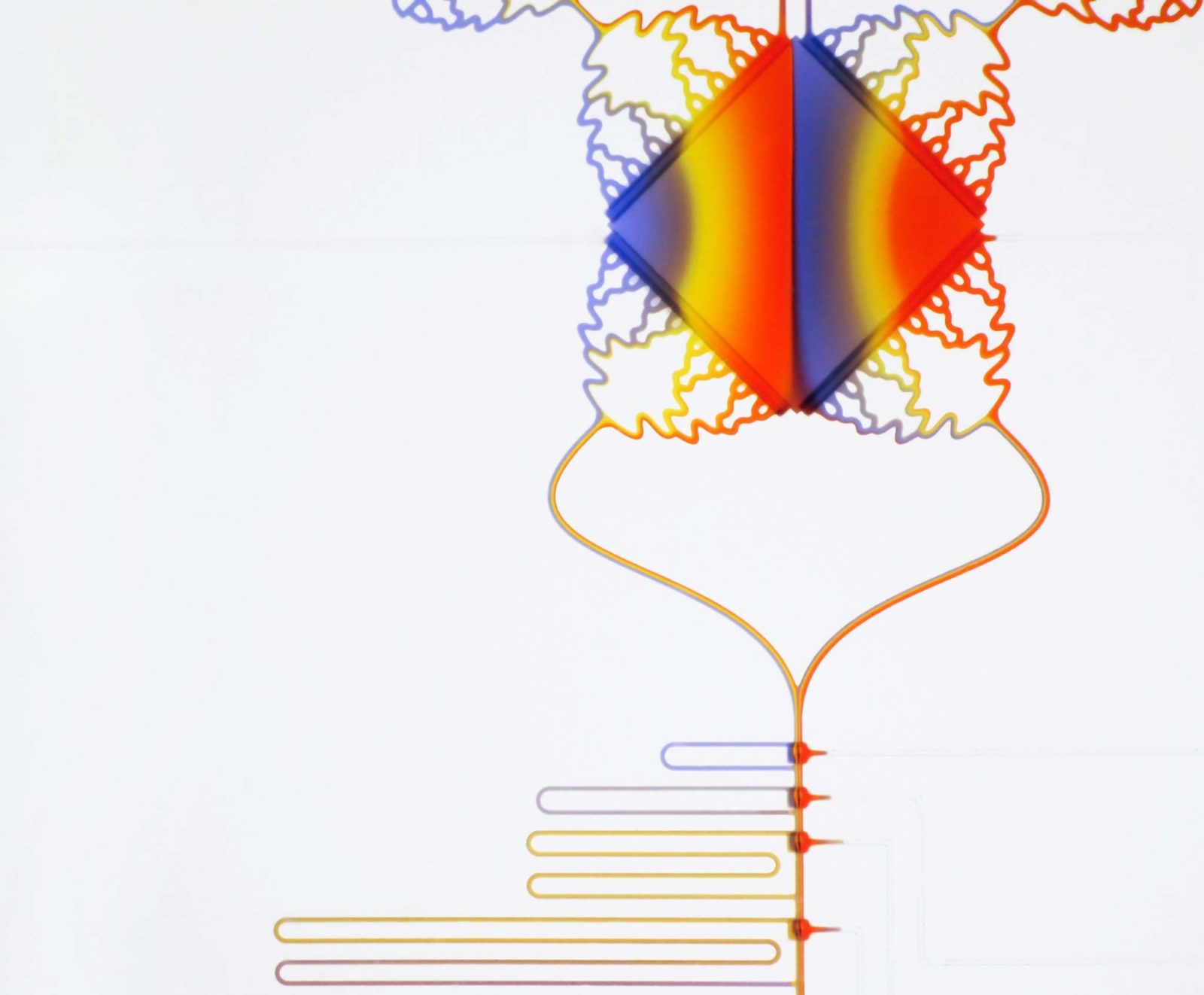 Laminar flow patterns of dyes moving through a microfluidic device ...