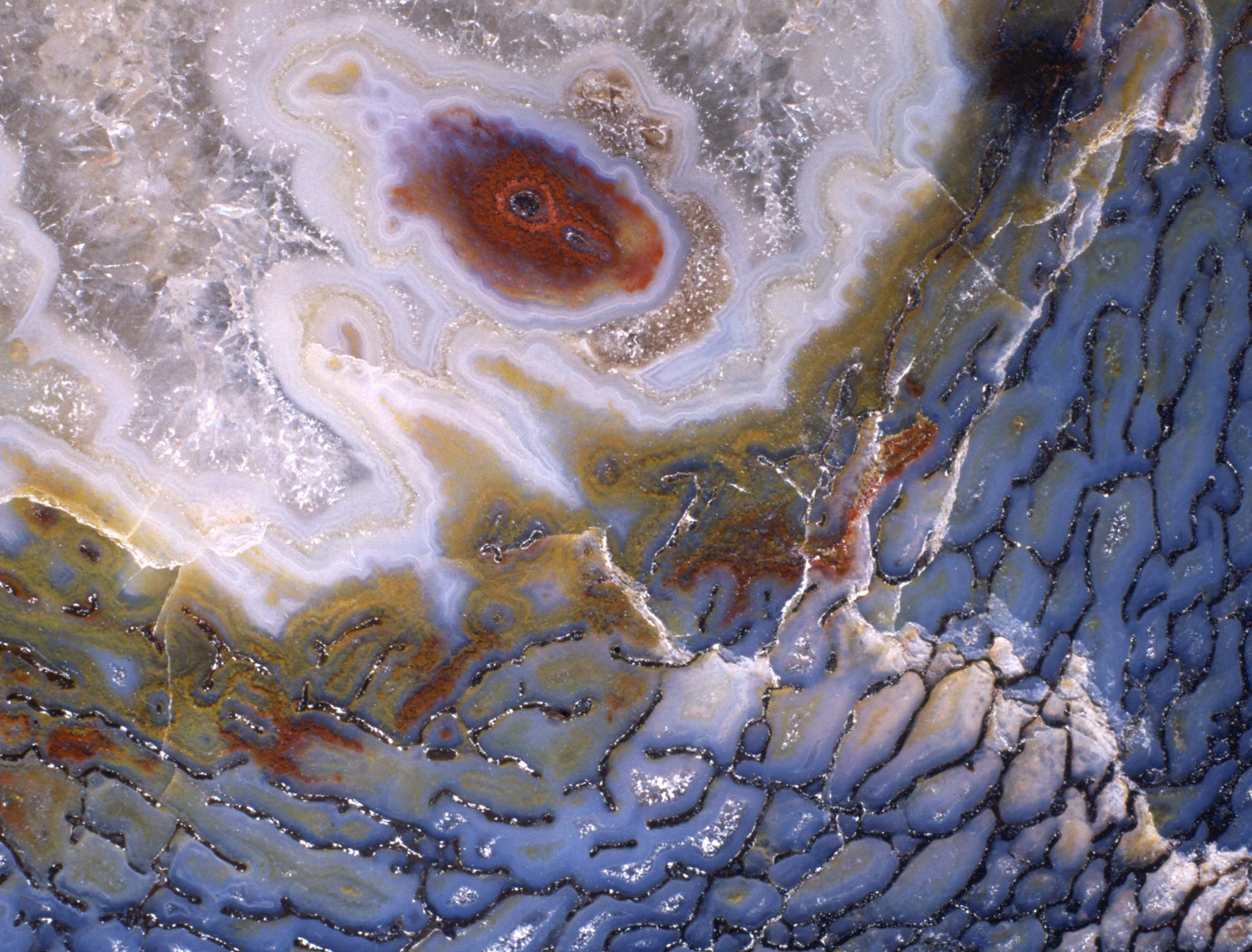 Dinosaur bone, Jurassic period | Nikon Small World