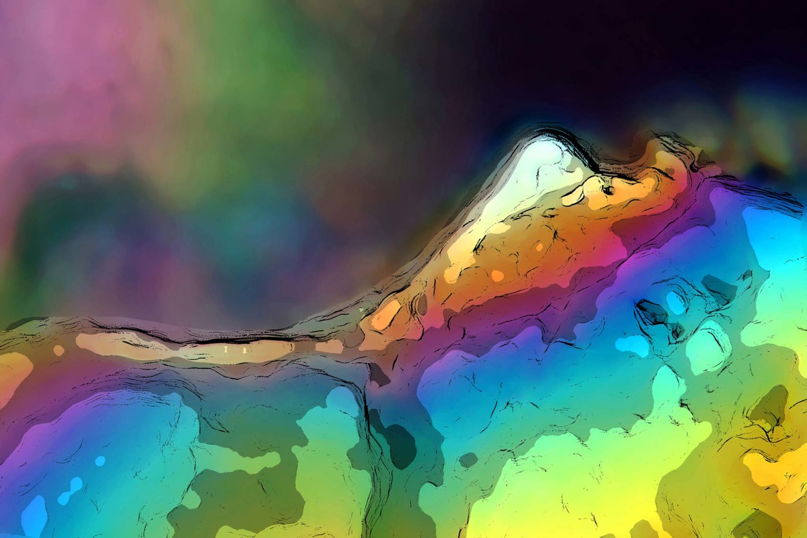 Silver sand | Nikon Small World