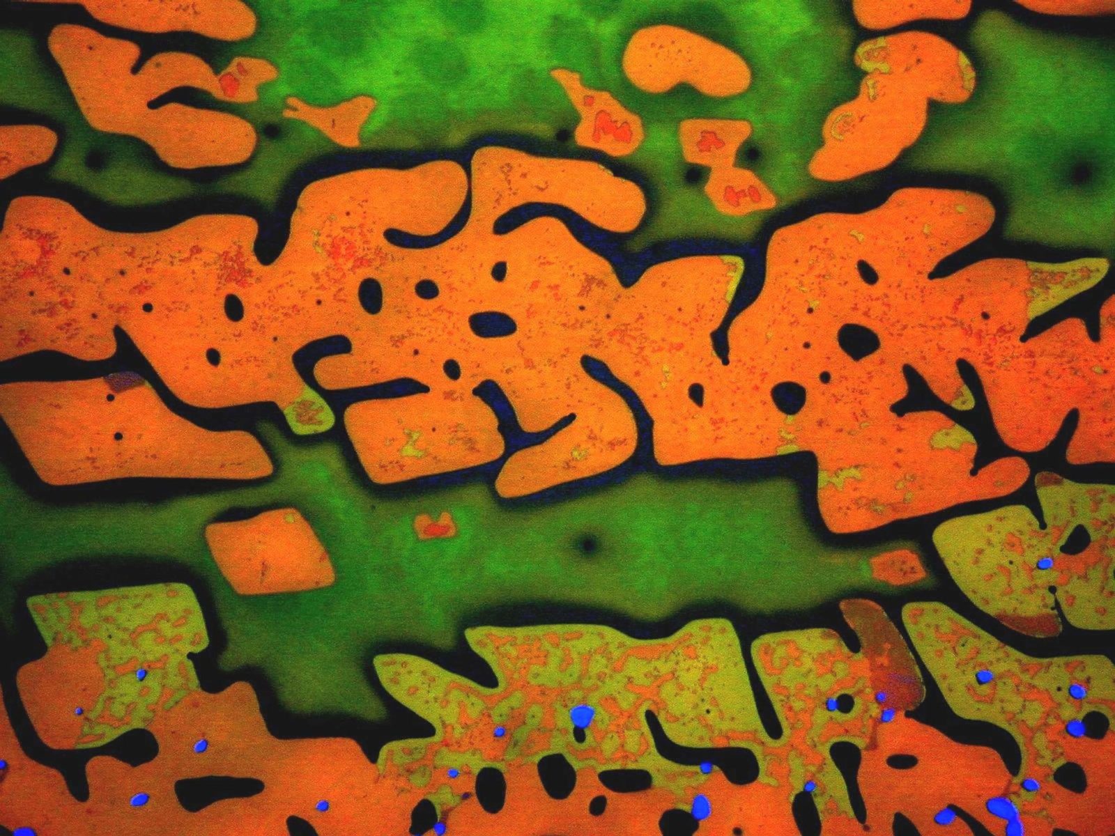 Degenerating blue phase II crystals | Nikon Small World