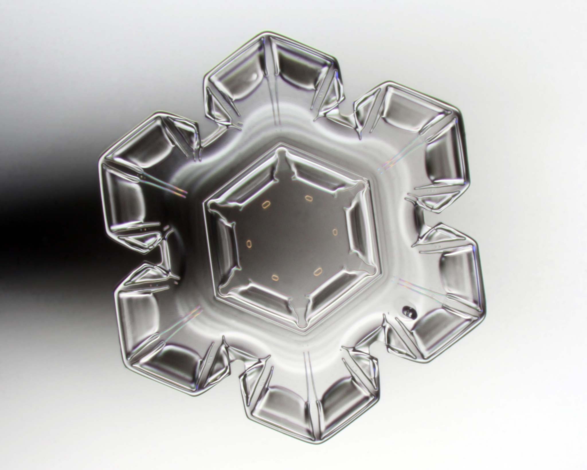 Snowcrystal (snowflake) | Nikon Small World