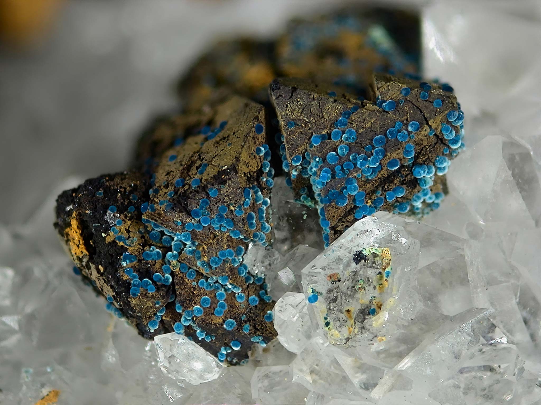 Connellite, freestanding crystals | Nikon Small World