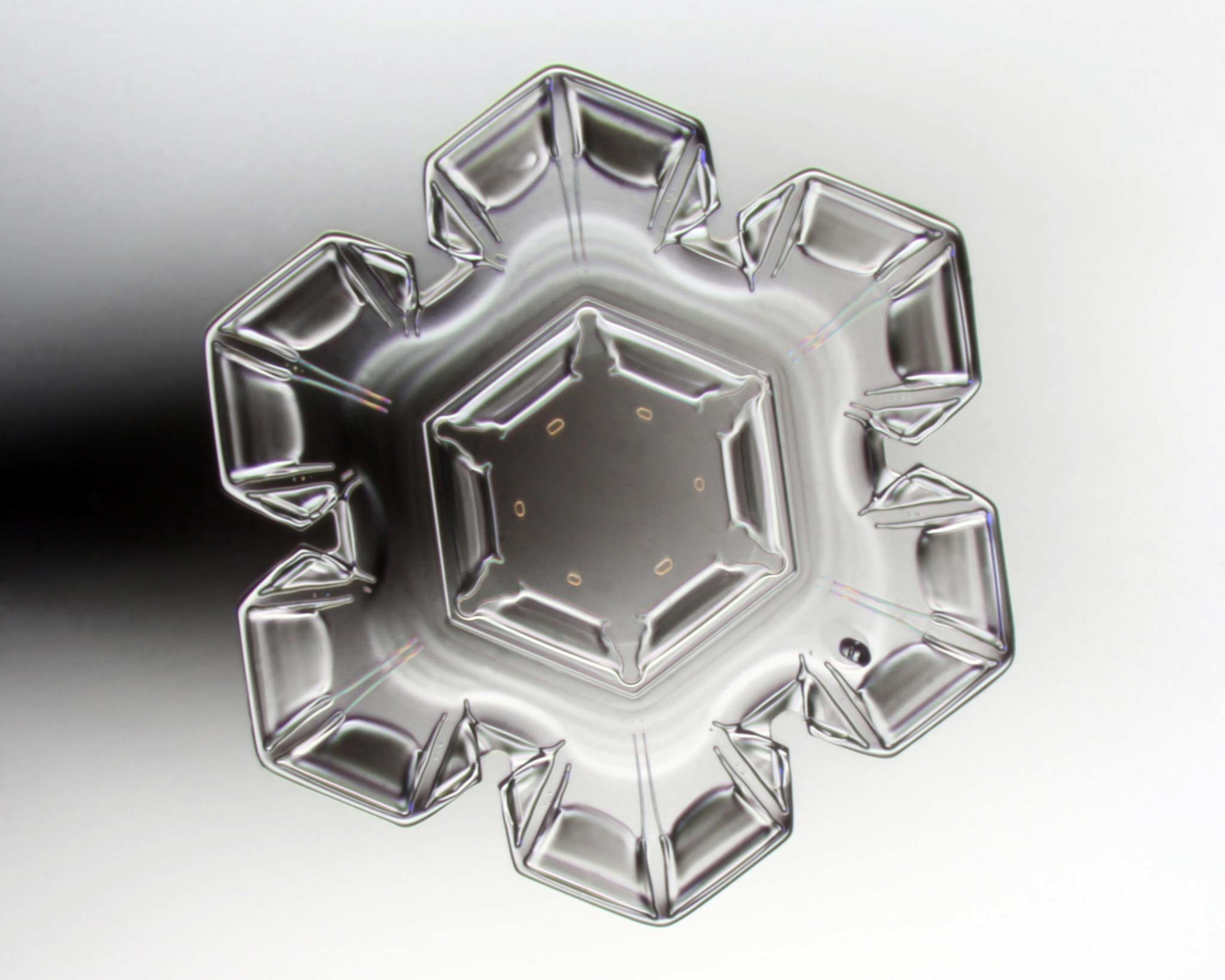 Snowcrystal (snowflake) | Nikon Small World