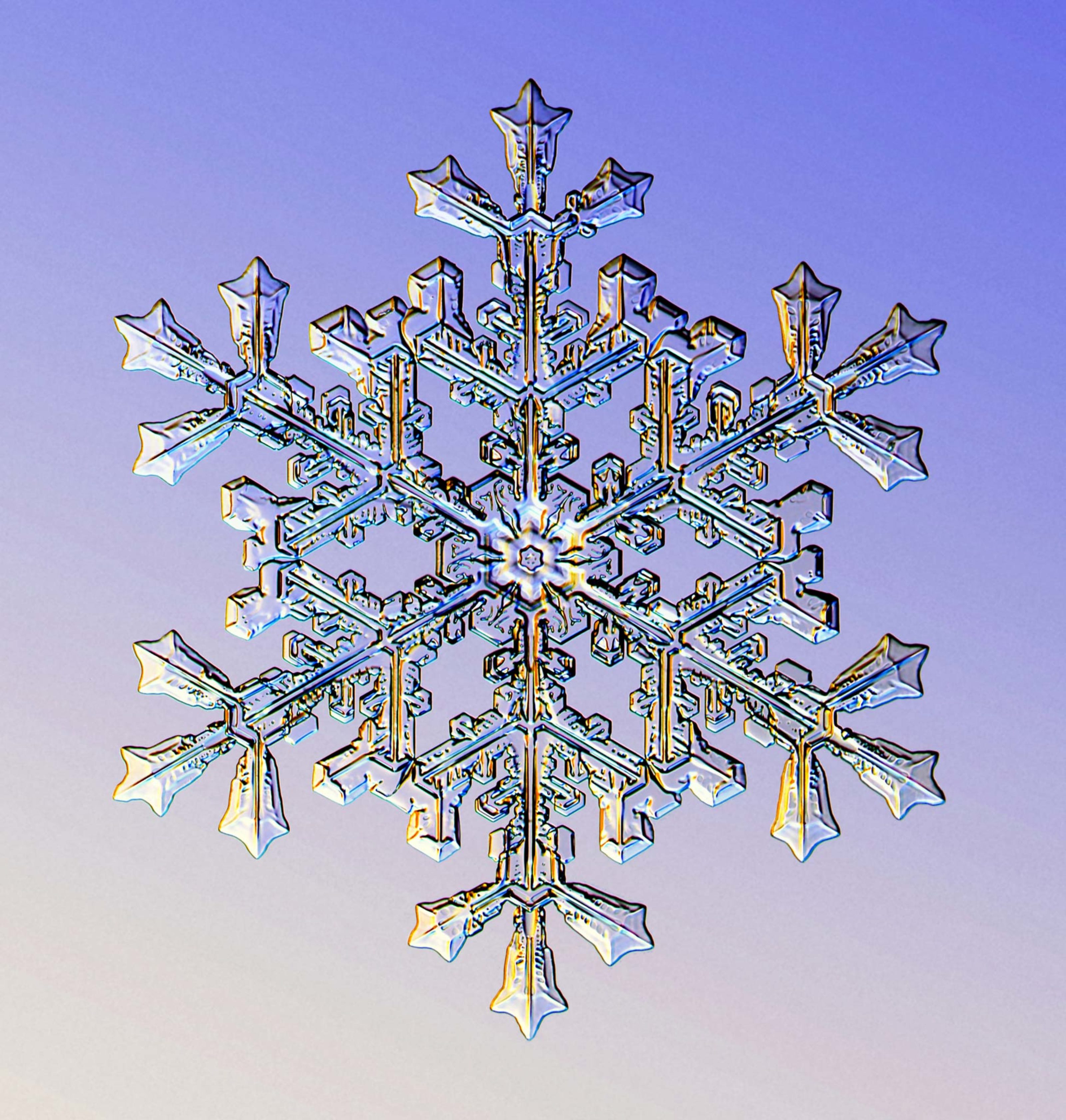 Snow crystal, illuminated with colored lights | Nikon Small World