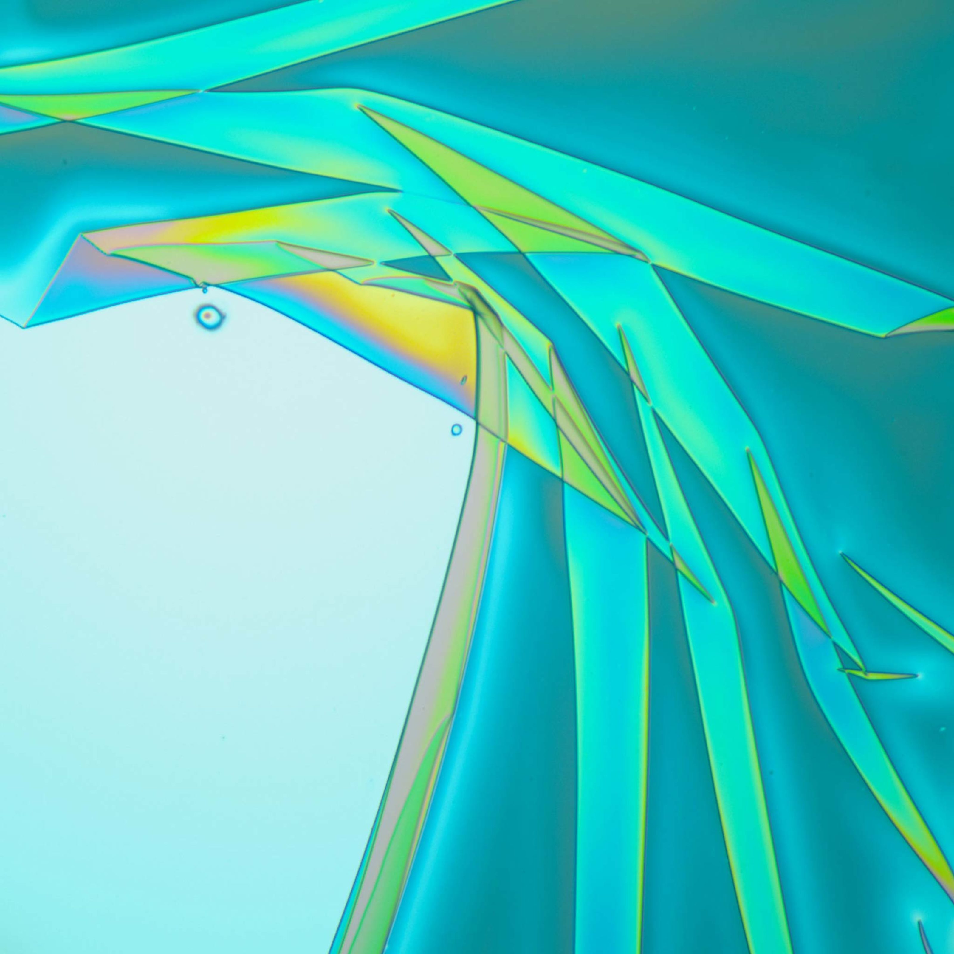 Delamination of a polymer coating on a silicon wafer after being ...