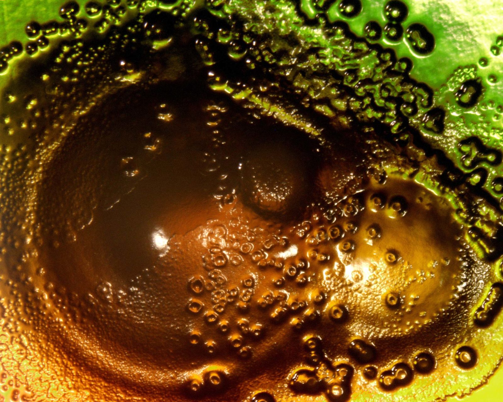 Separate forms and nodules of bacteria growth | Nikon Small World