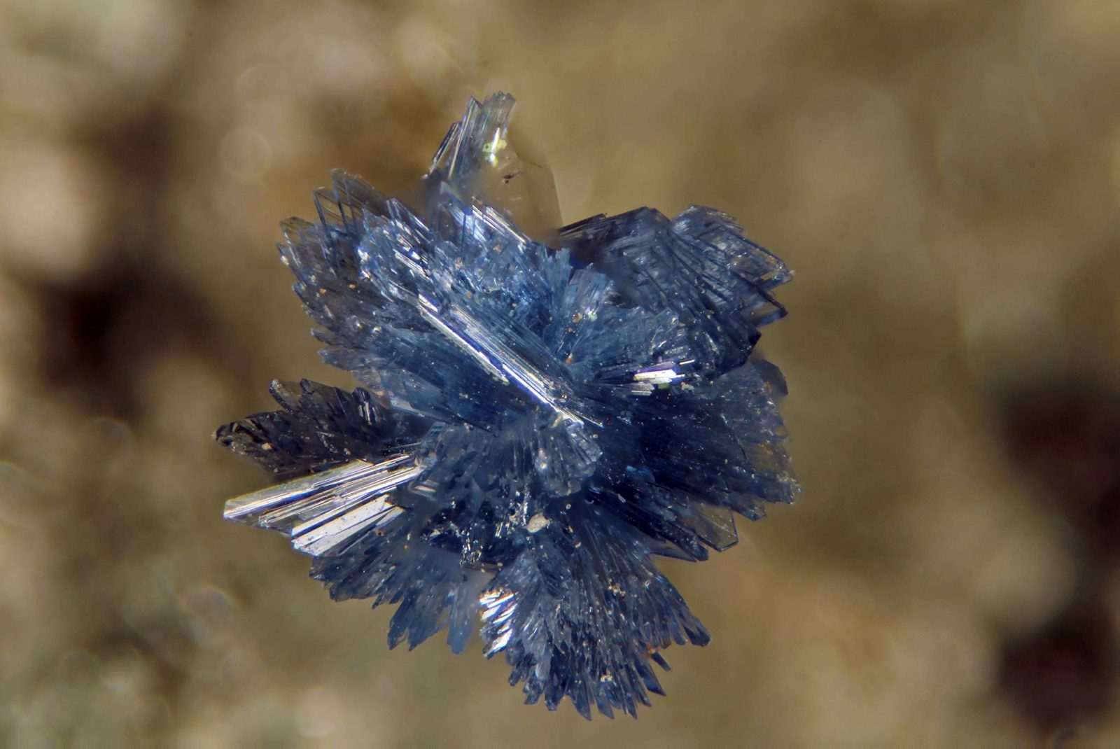 Vauxite mineral crystal cluster | Nikon Small World