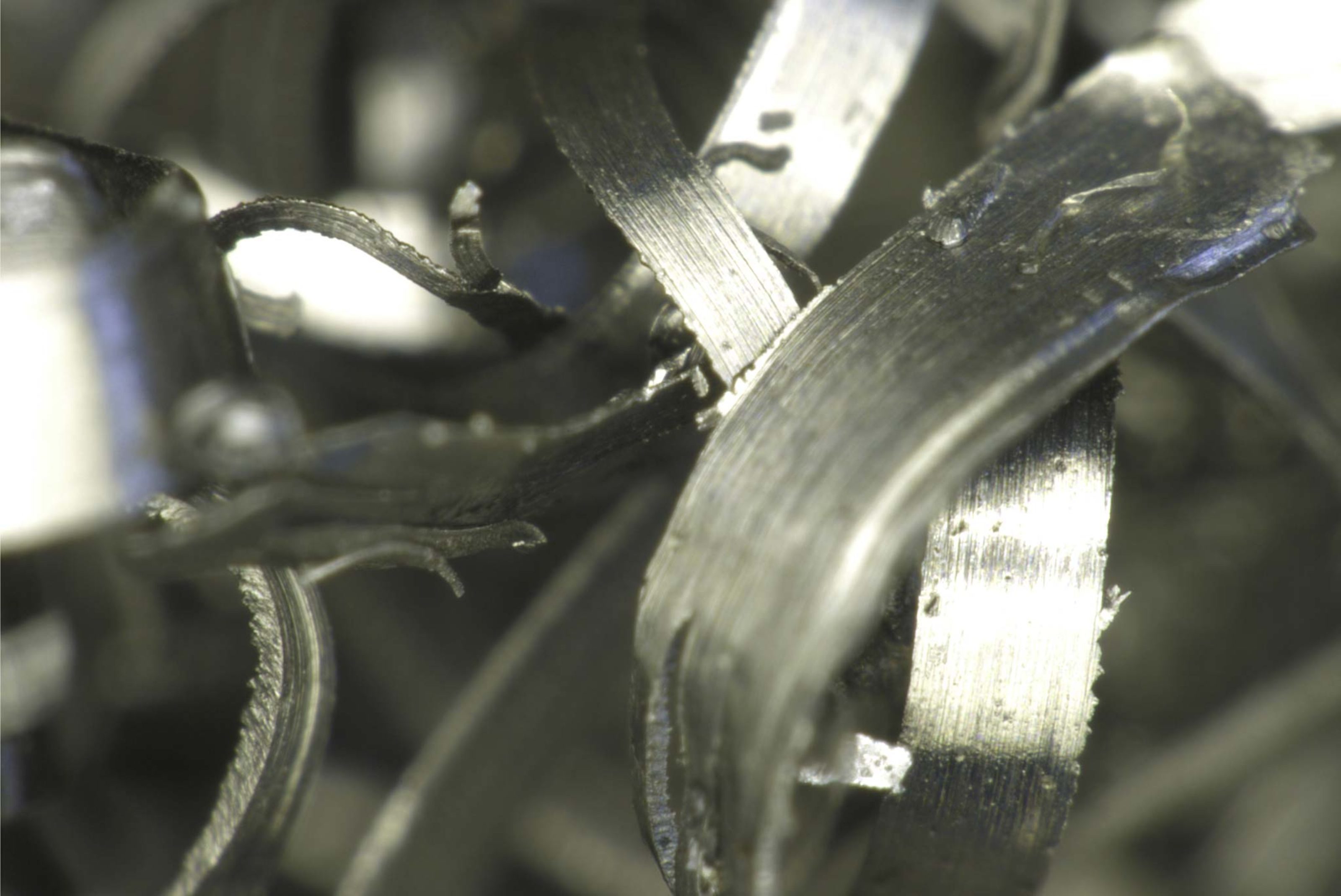 Titanium shavings | Nikon Small World