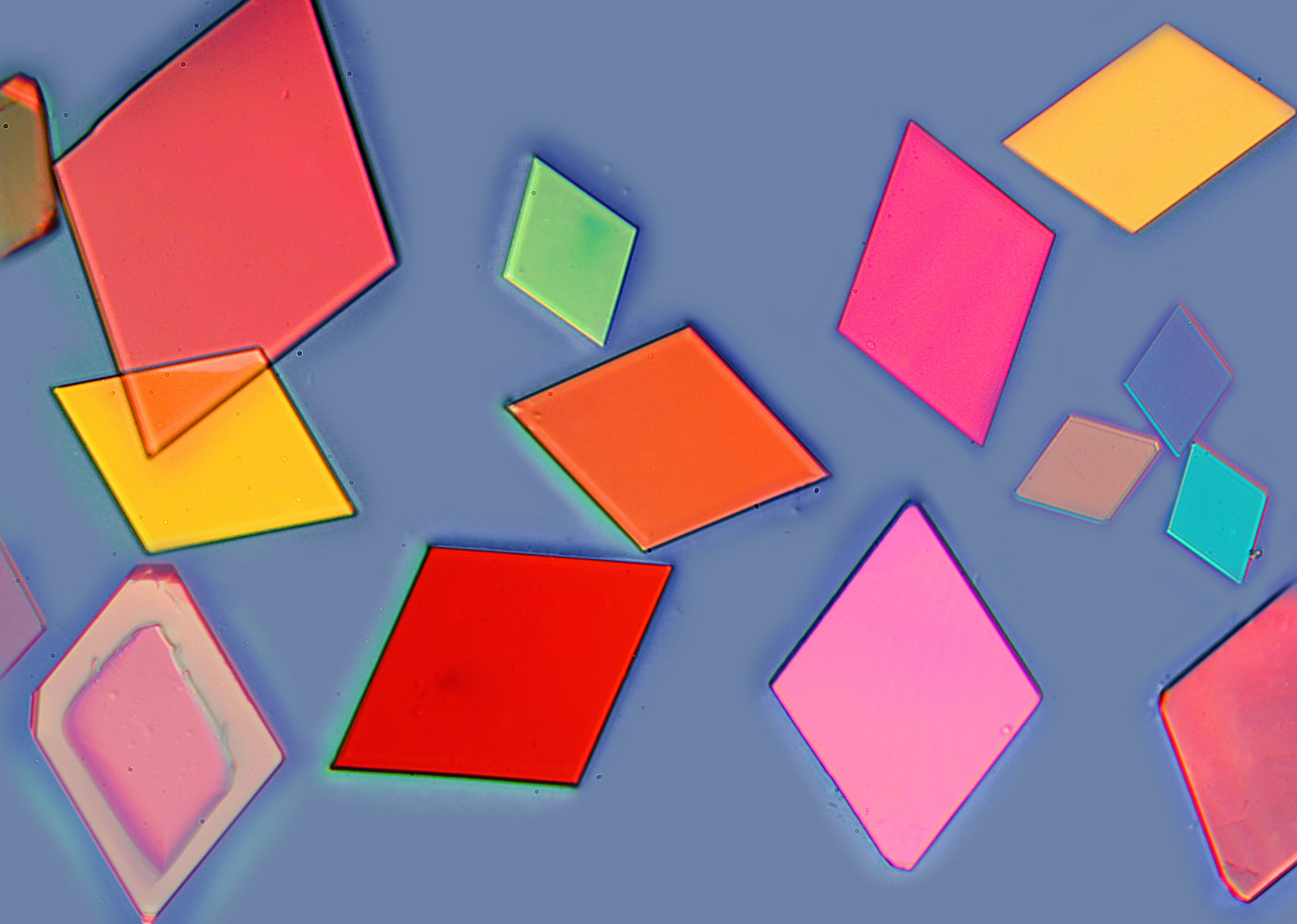 Tripolycyanamide crystal | Nikon Small World