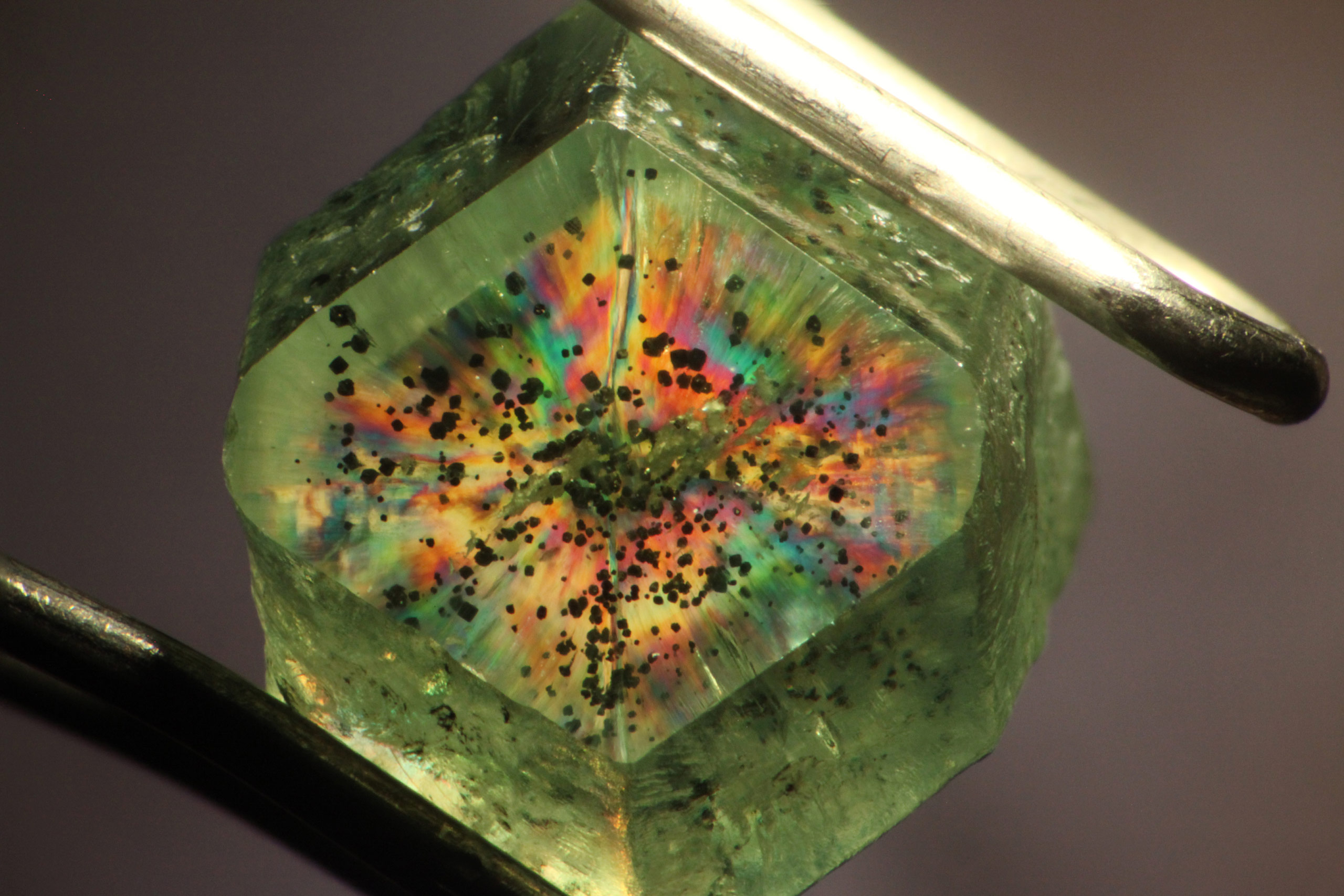 Birefringent andradite garnet with magnetite inclusions | Nikon Small World