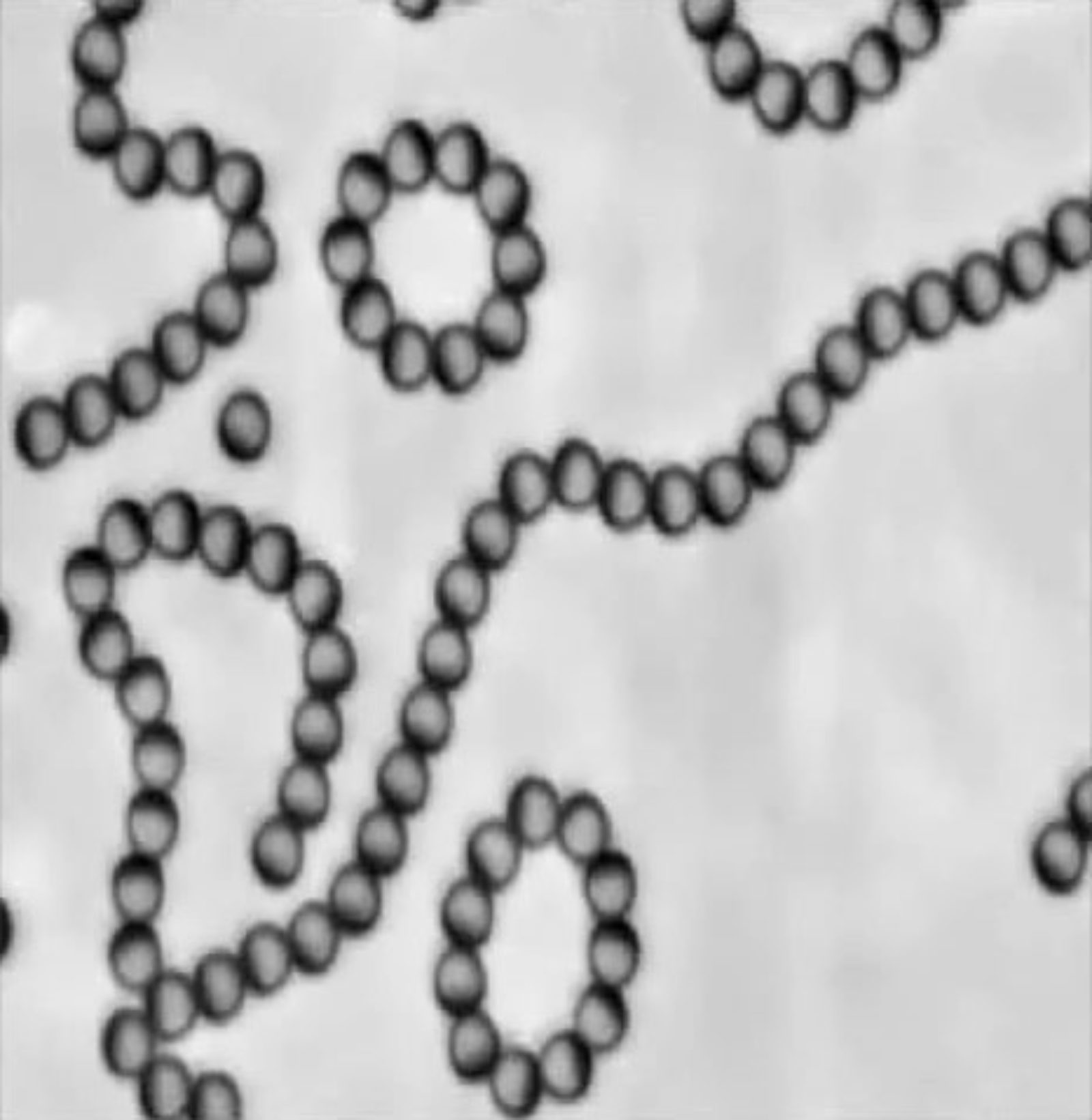 Janus colloids | Nikon Small World