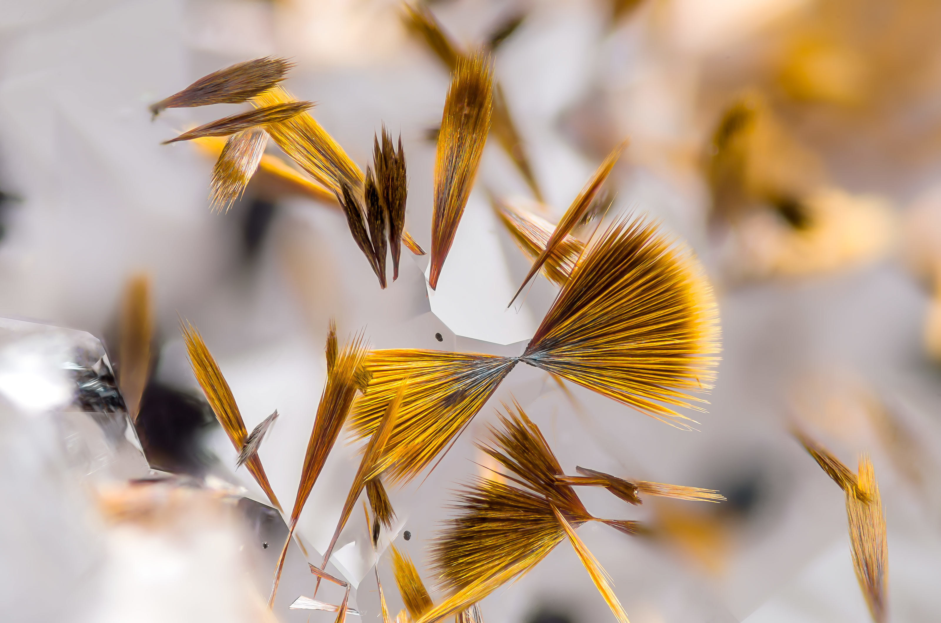 Goethite (iron oxide) needles on quartz from Marmoraton Mine (Ontario ...