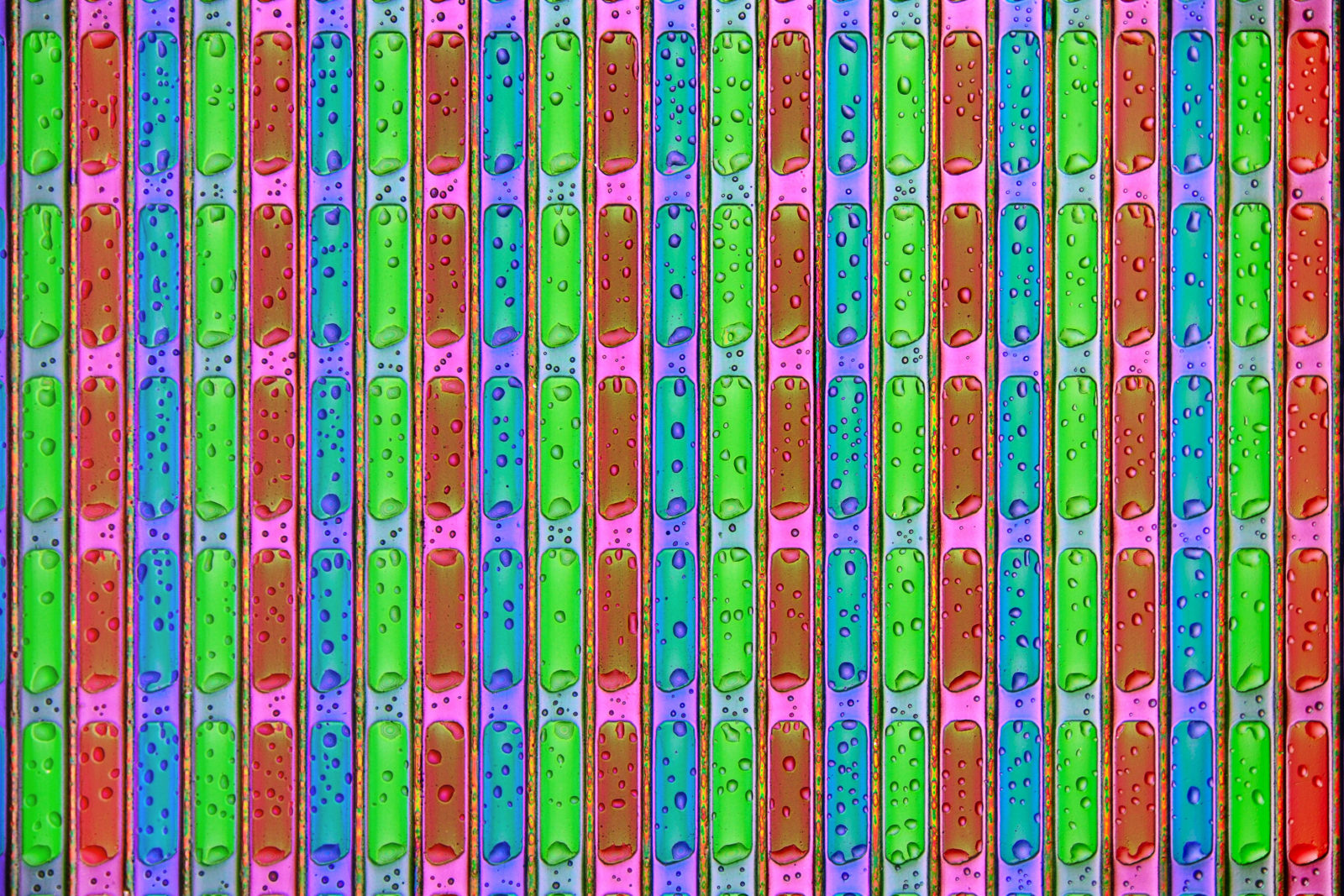 Liquid crystals in a mobile LCD screen | Nikon Small World