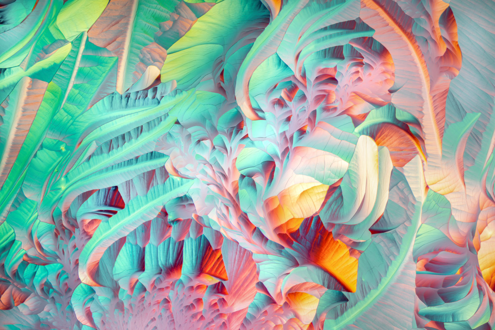 Crystals formed after heating an ethanol and water solution containing ...