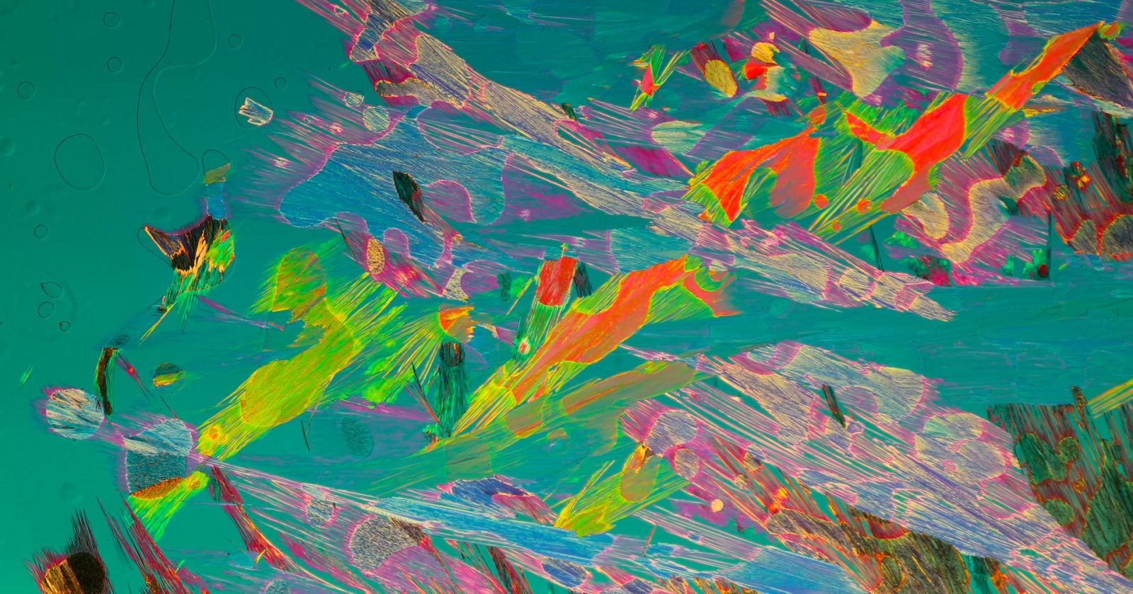 Two liquid crystals crystallizing on the same microscope slide | Nikon ...