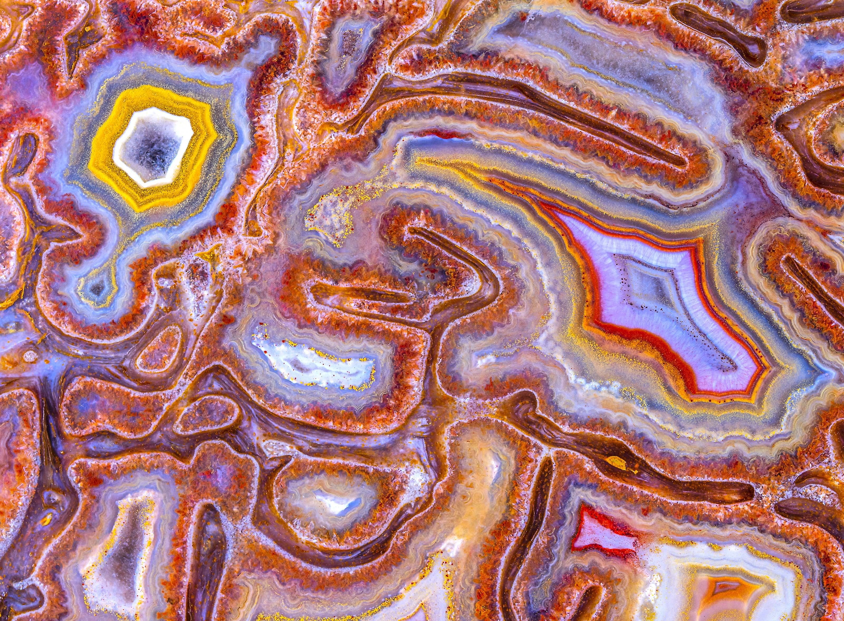 Agatized dinosaur bone | Nikon Small World