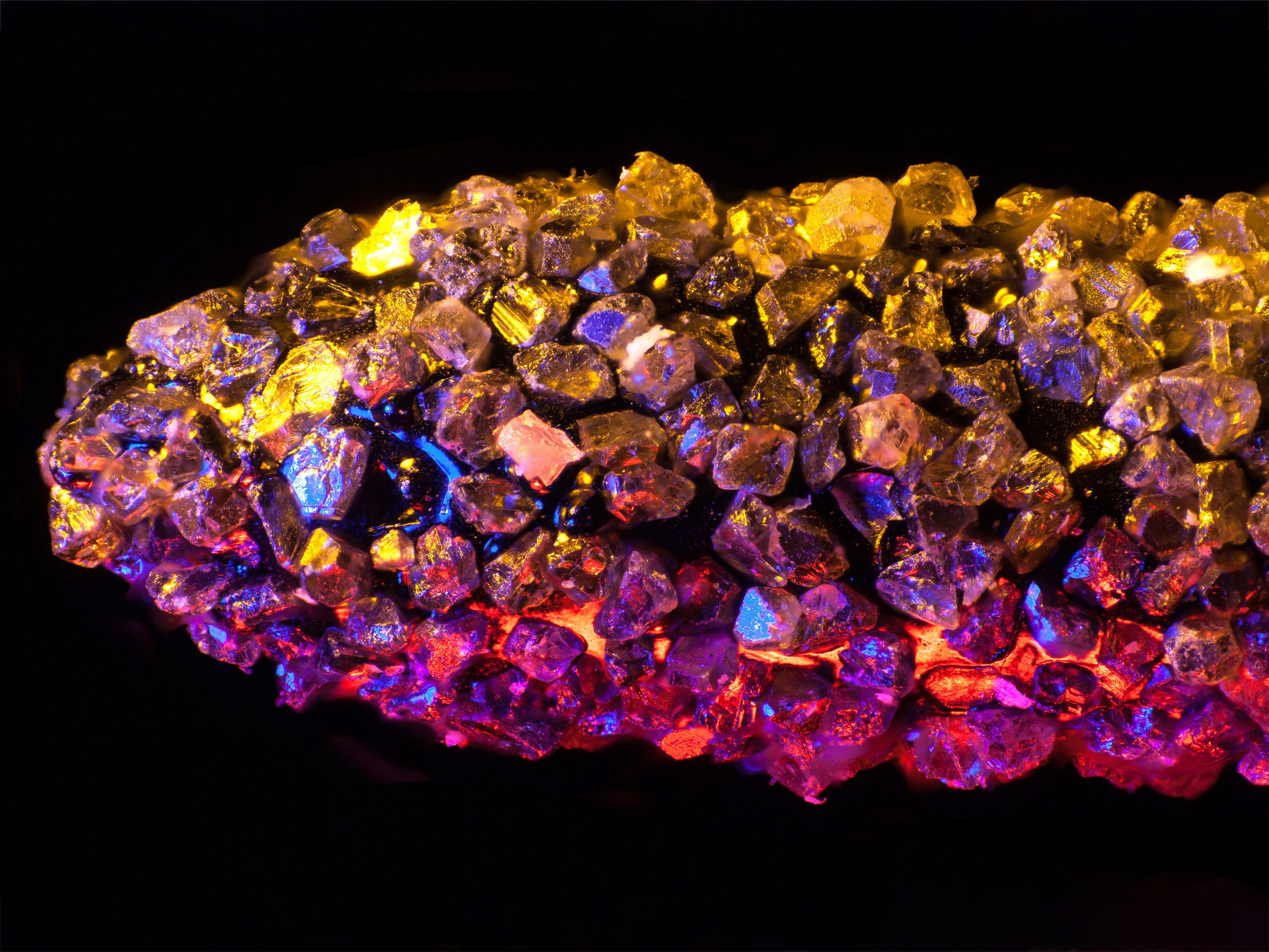 Dental drill bit studded with diamond chips | Nikon Small World