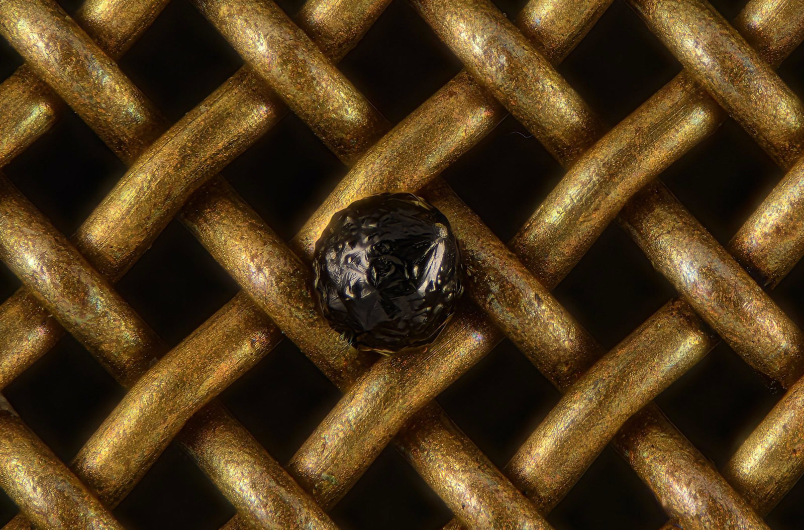 Cryptocrystalline micrometeorite resting on a #80 testing sieve | Nikon ...