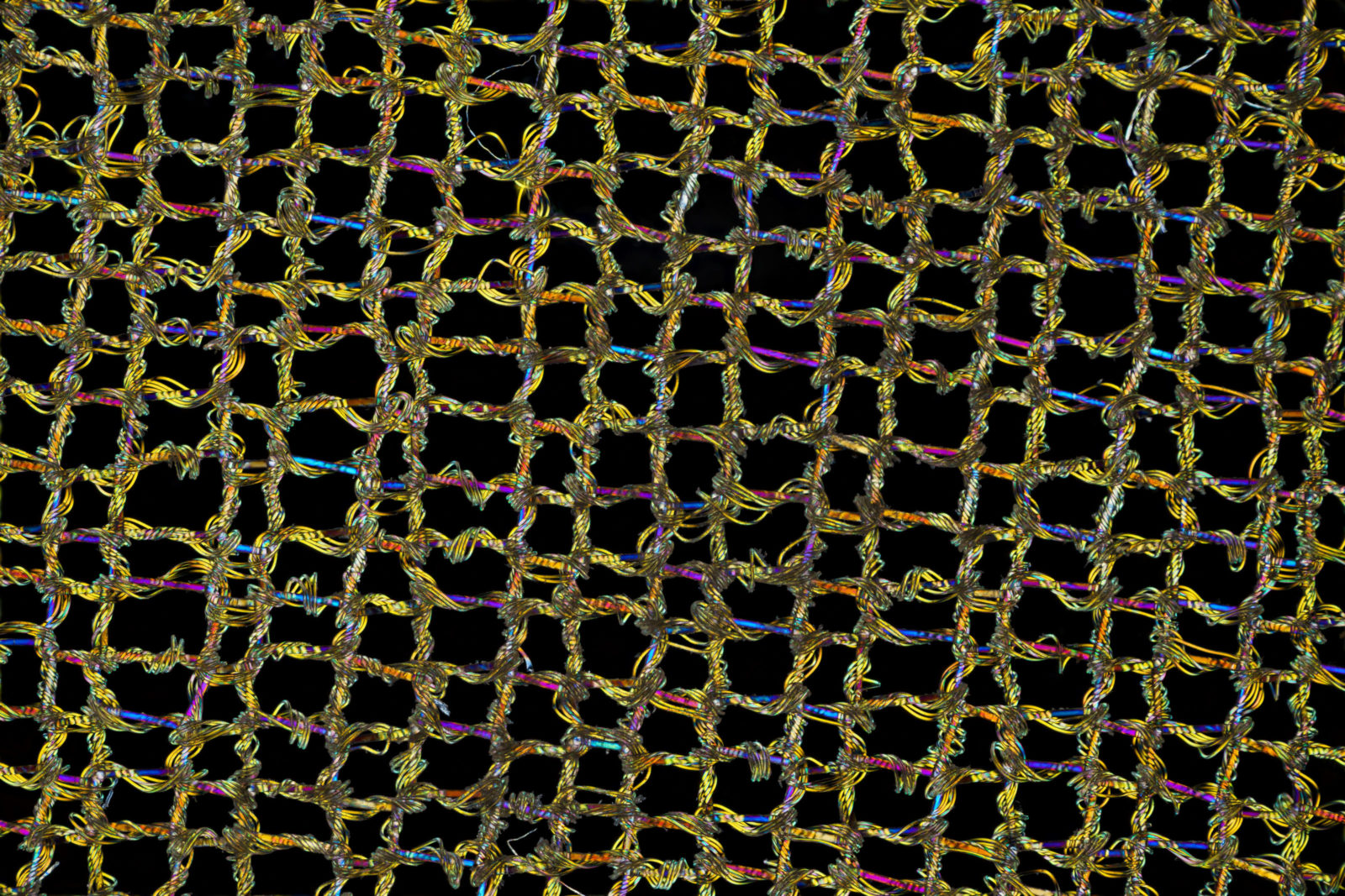 Fiber of nylon stockings | Nikon Small World