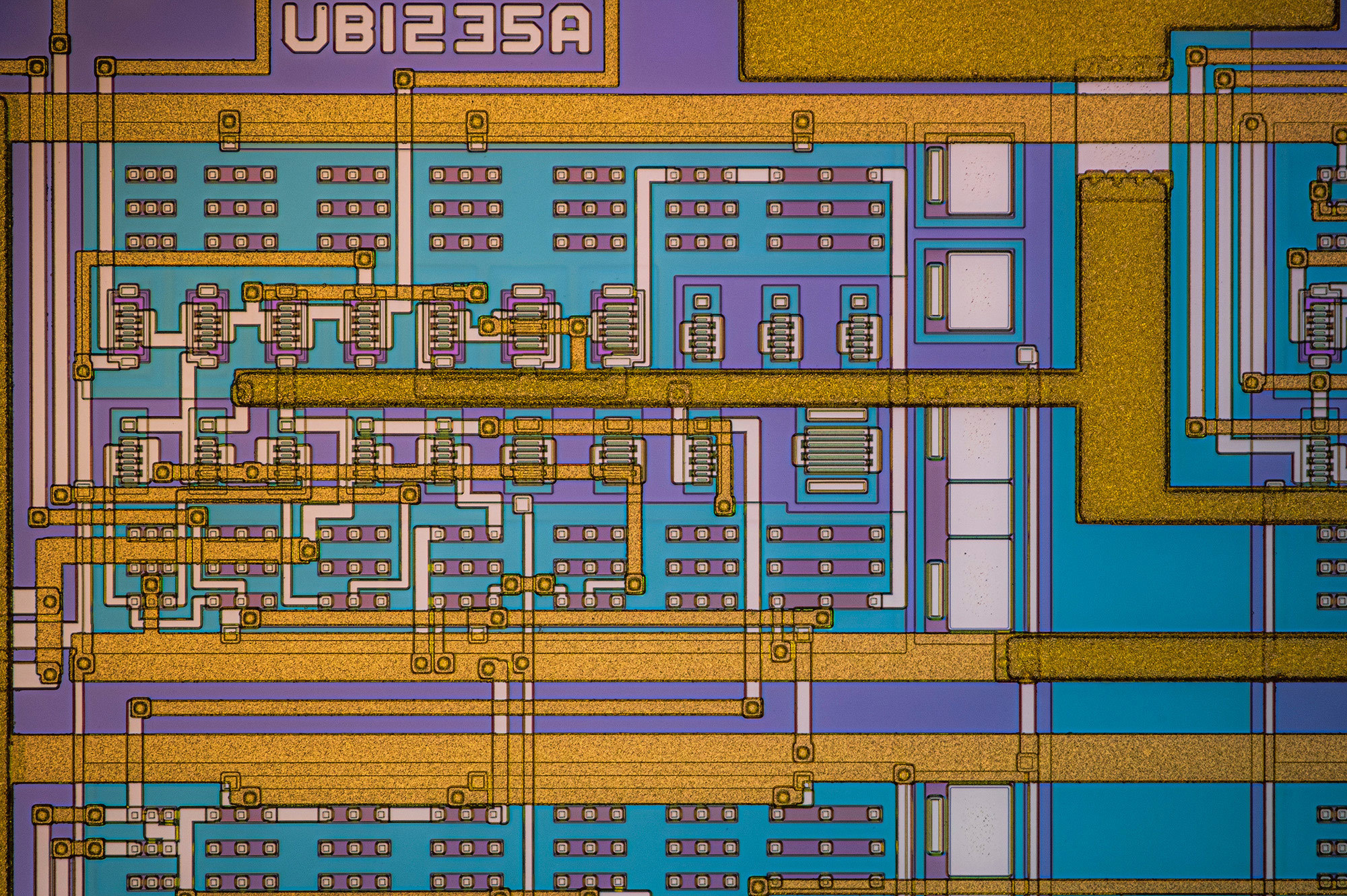 Integrated circuit chip | Nikon Small World