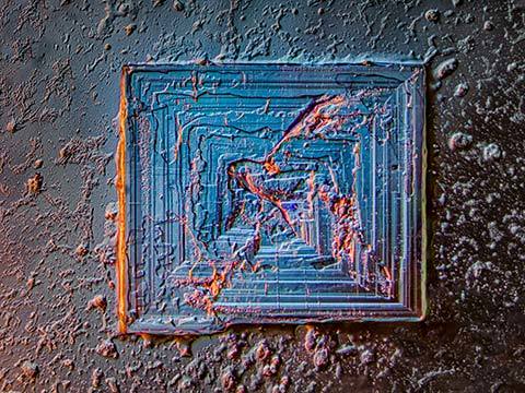 Nikon’s Small World
